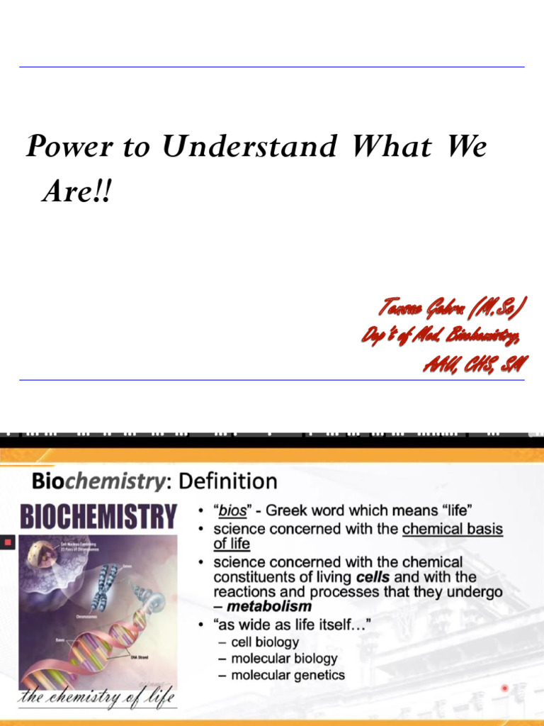 Introduction To BIochemistry by TG 2024 | PDF