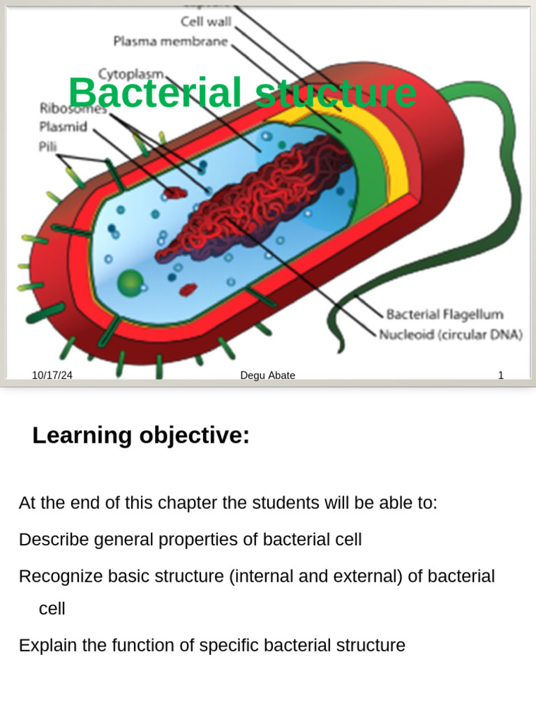 Chapter II Bacterial Structure | PDF