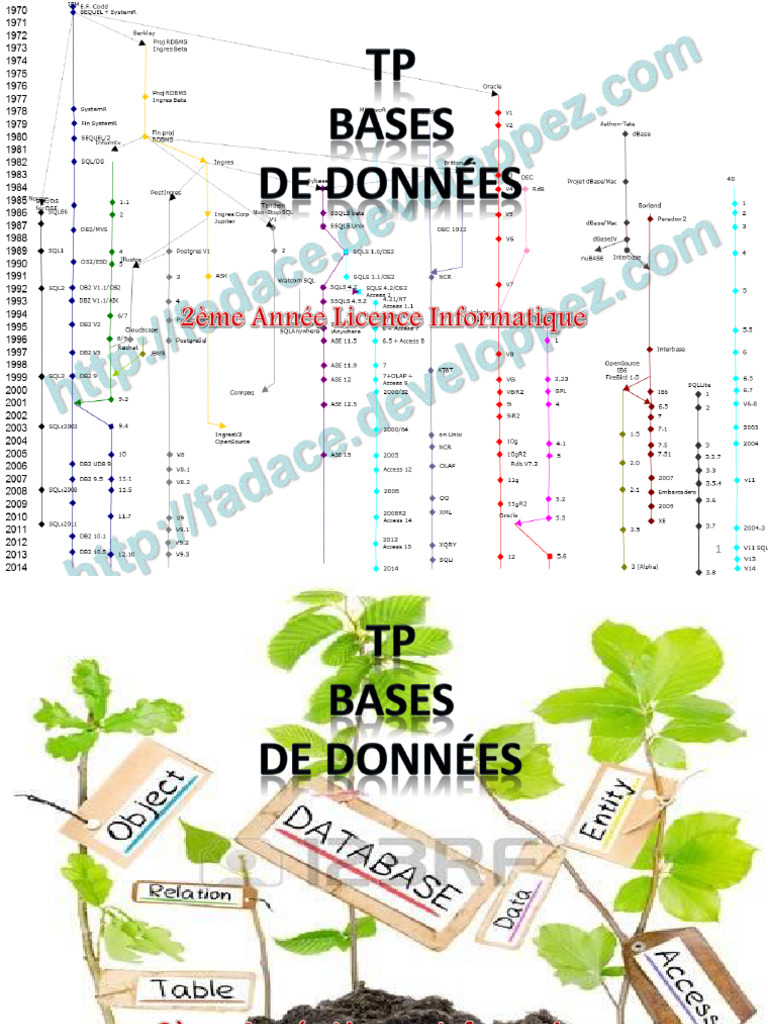 Modélisation Physique | PDF