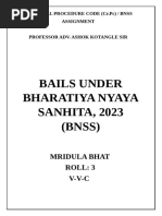 BNSS Notes | PDF | Bail | Arrest