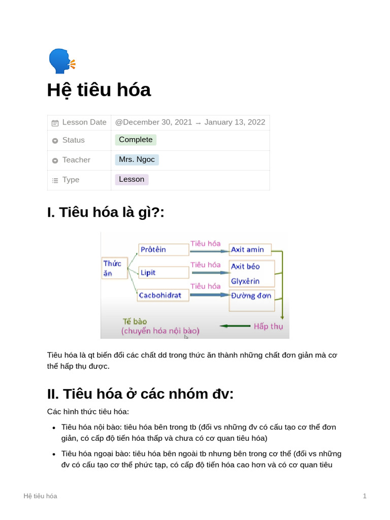Hệ tiêu hóa | PDF