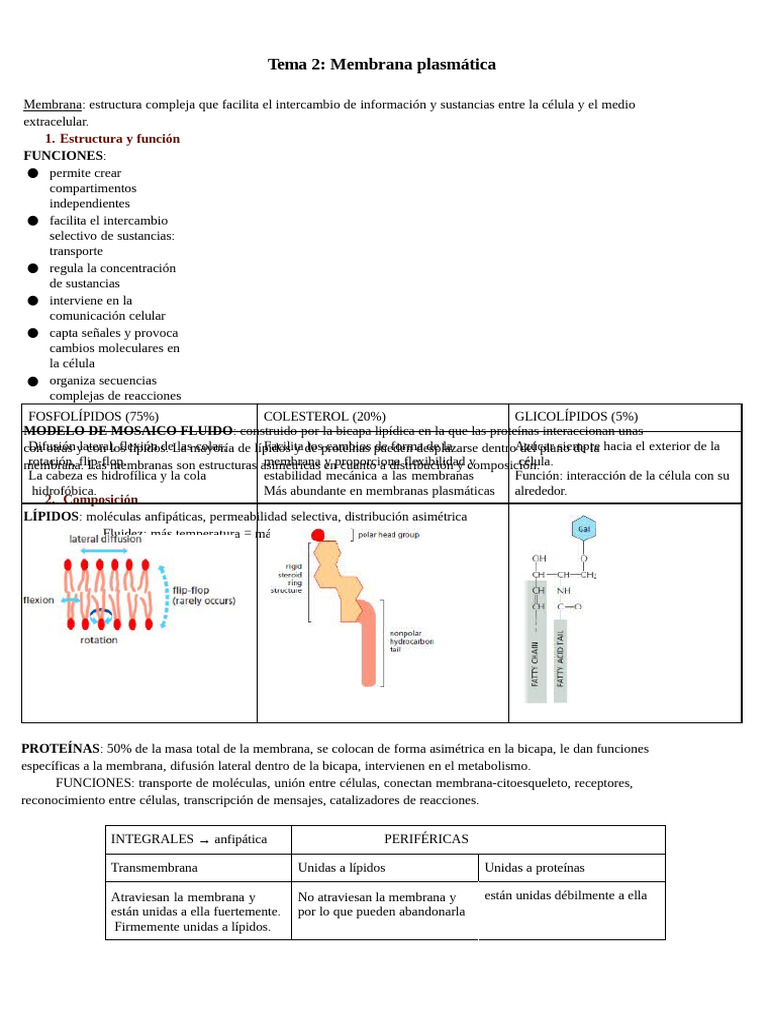 Tema 2 Membrana Plasmatica | PDF