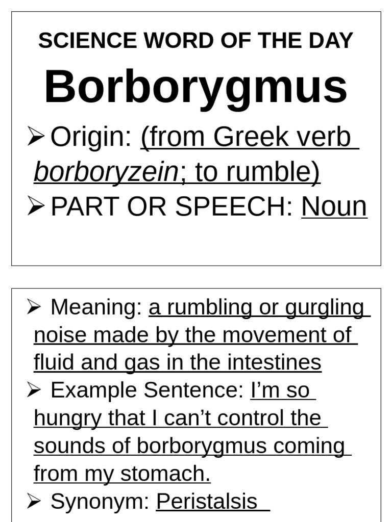 Borborygmus: Science Word of the Day | PDF