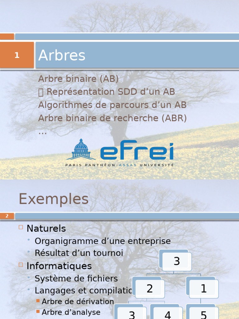 Arbres | PDF | Algorithmes et structures de données