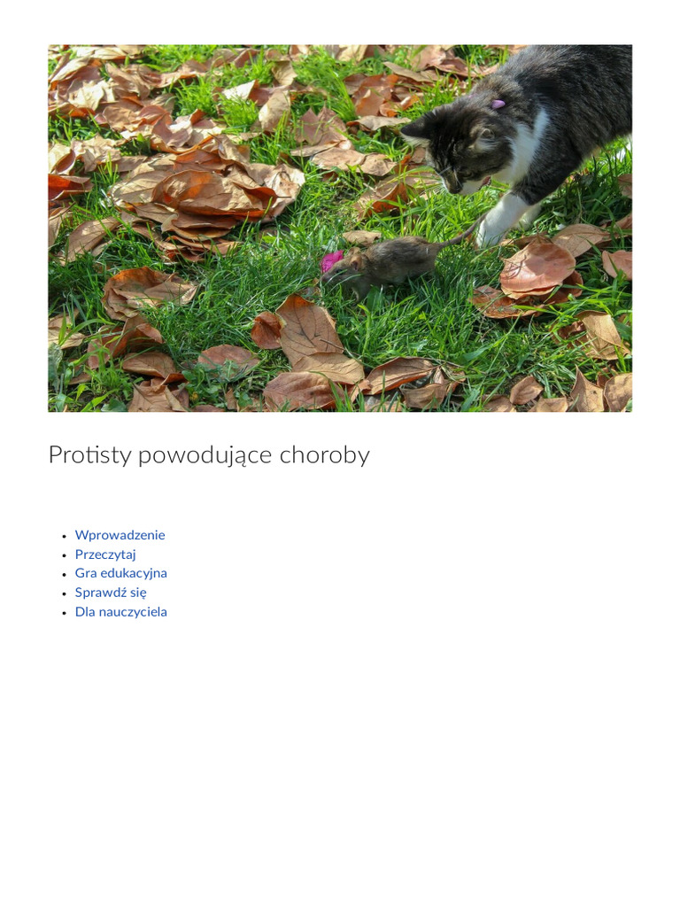 Protisty Powodujace Choroby | PDF