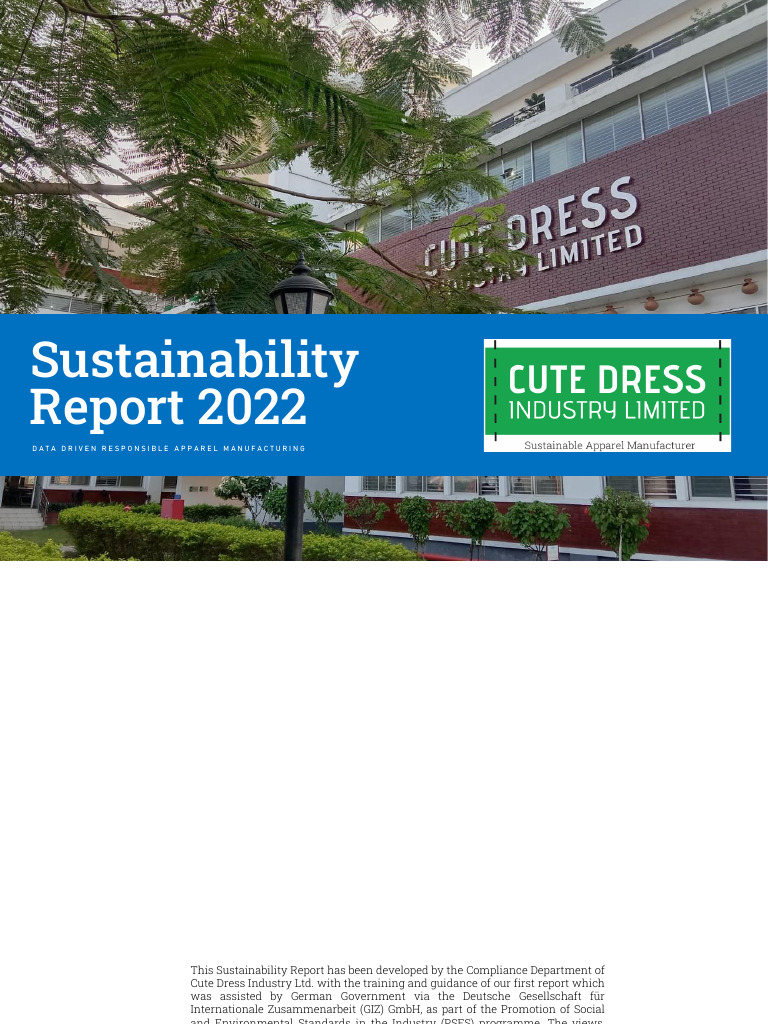 2022 Sustainability Report Overview | PDF | Sustainability | Economies
