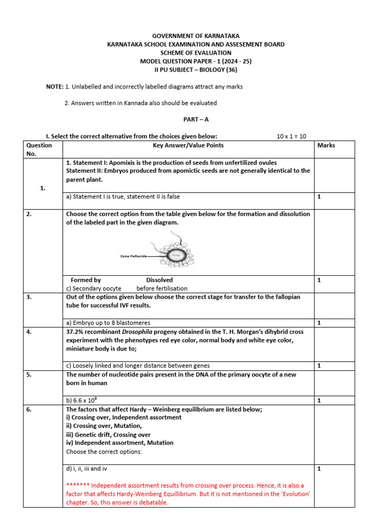 Model Paper 1 2024-25 Scheme | PDF | Genetic Code | Dna Replication