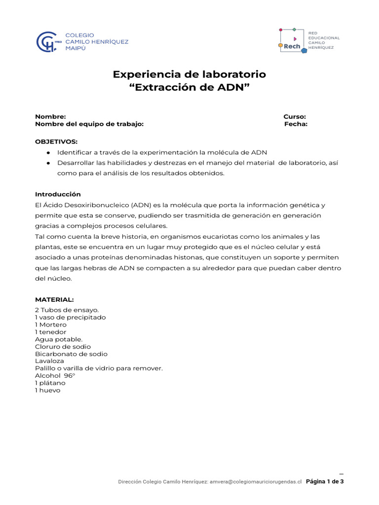 Experiencia de Laboratorio - Extracción de ADN" | PDF | Adn | Biología Celular)