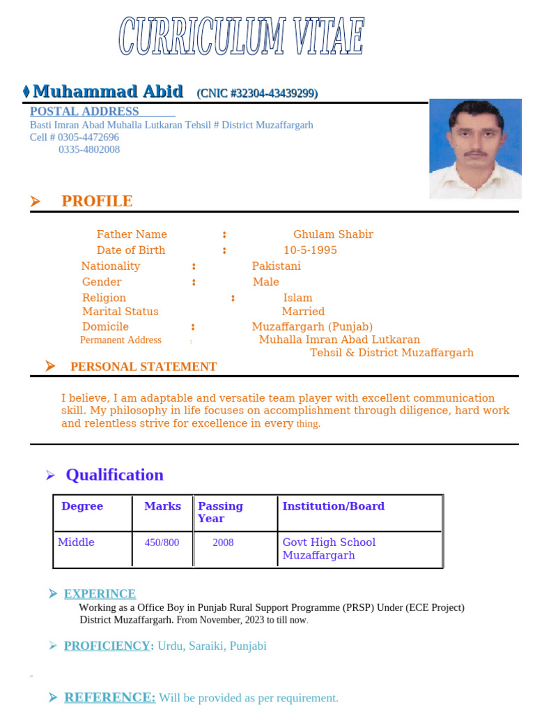 CV Muhammad Abid | PDF