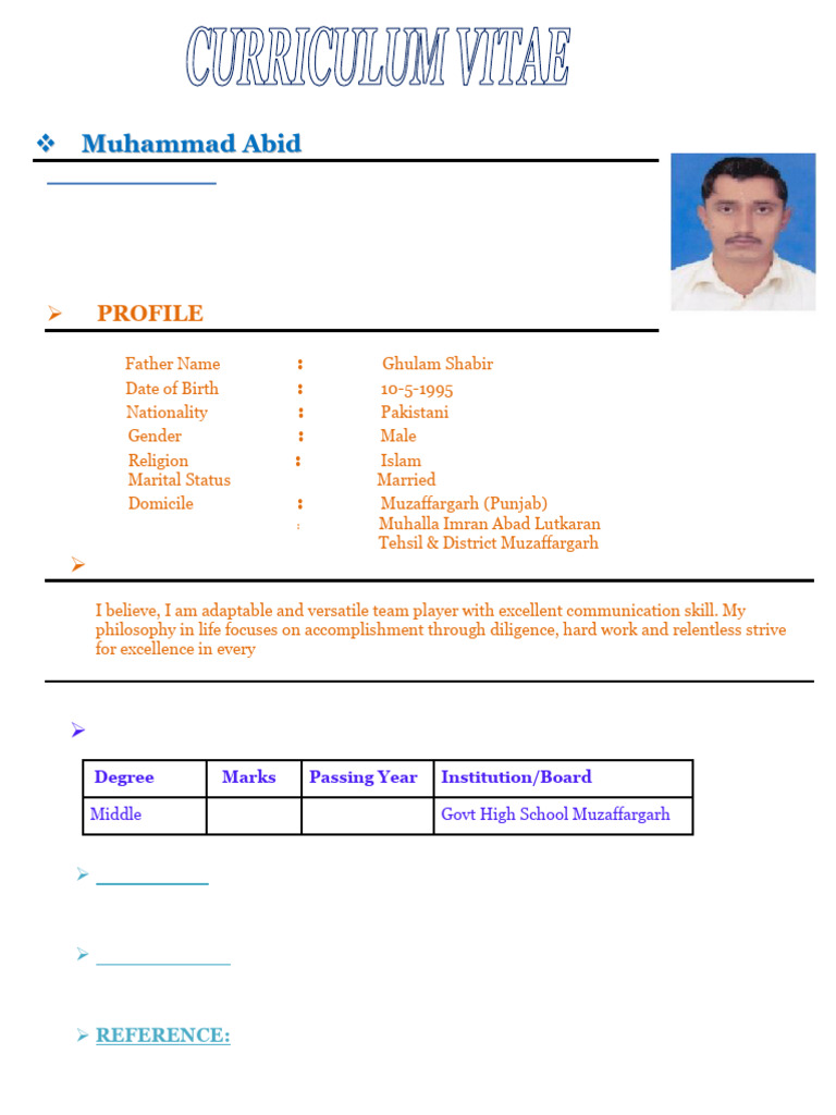 CV Muhammad Abid | PDF