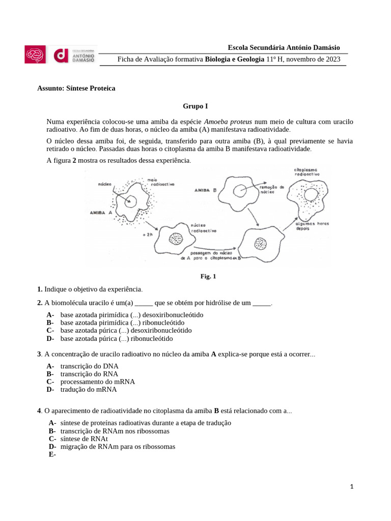 Ficha Síntese Proteica | PDF | Gene | RNA
