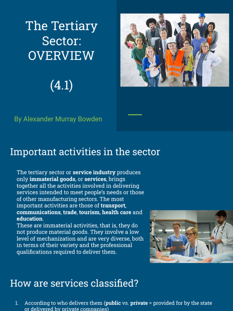 Overview of the Tertiary Sector | PDF | Developing Country | Economies