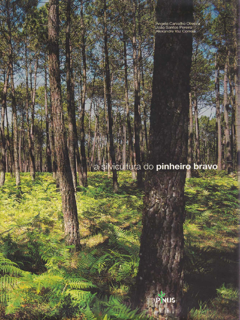 A Silvicultura Do Pinheiro Bravo - Centro Pinus - 2000 | PDF