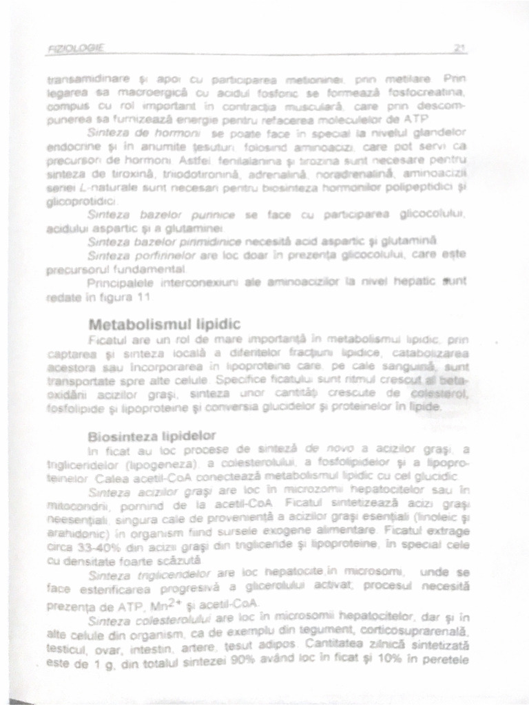 Document Scanat 4 | PDF