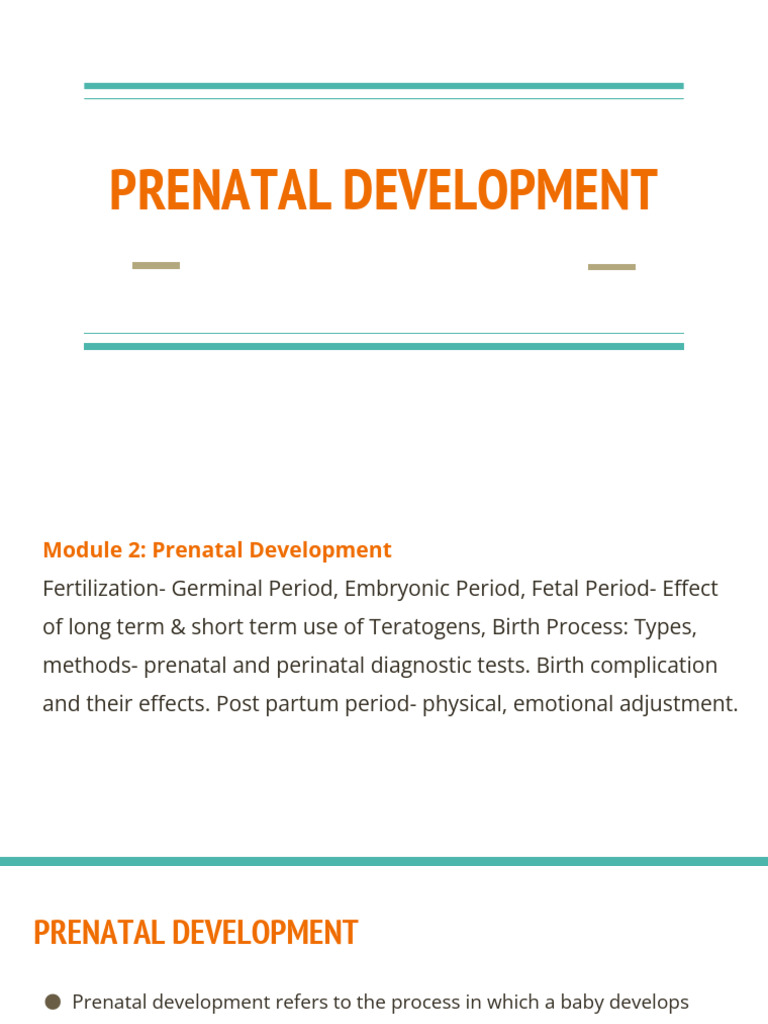 Prenatal Development | PDF