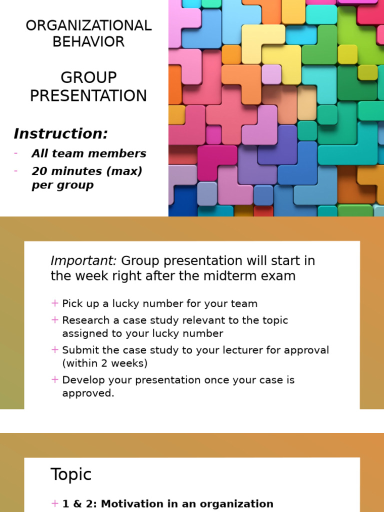 OB Group Presentation Instruction | PDF