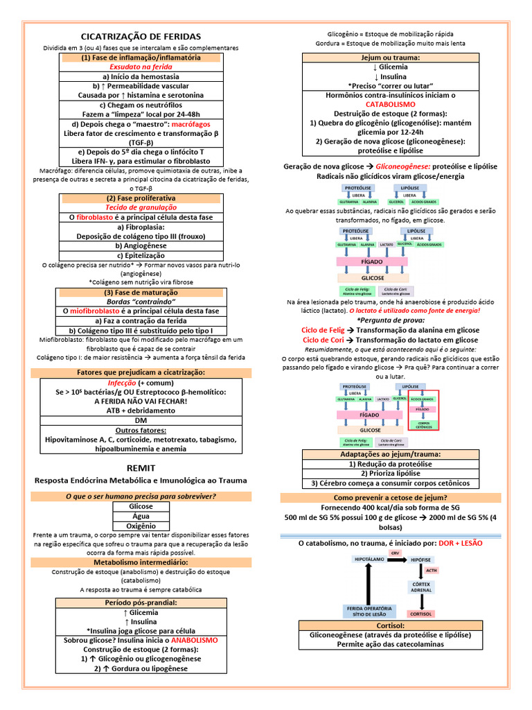 Fases e Fatores da Cicatrização de Feridas | PDF | Cura ...
