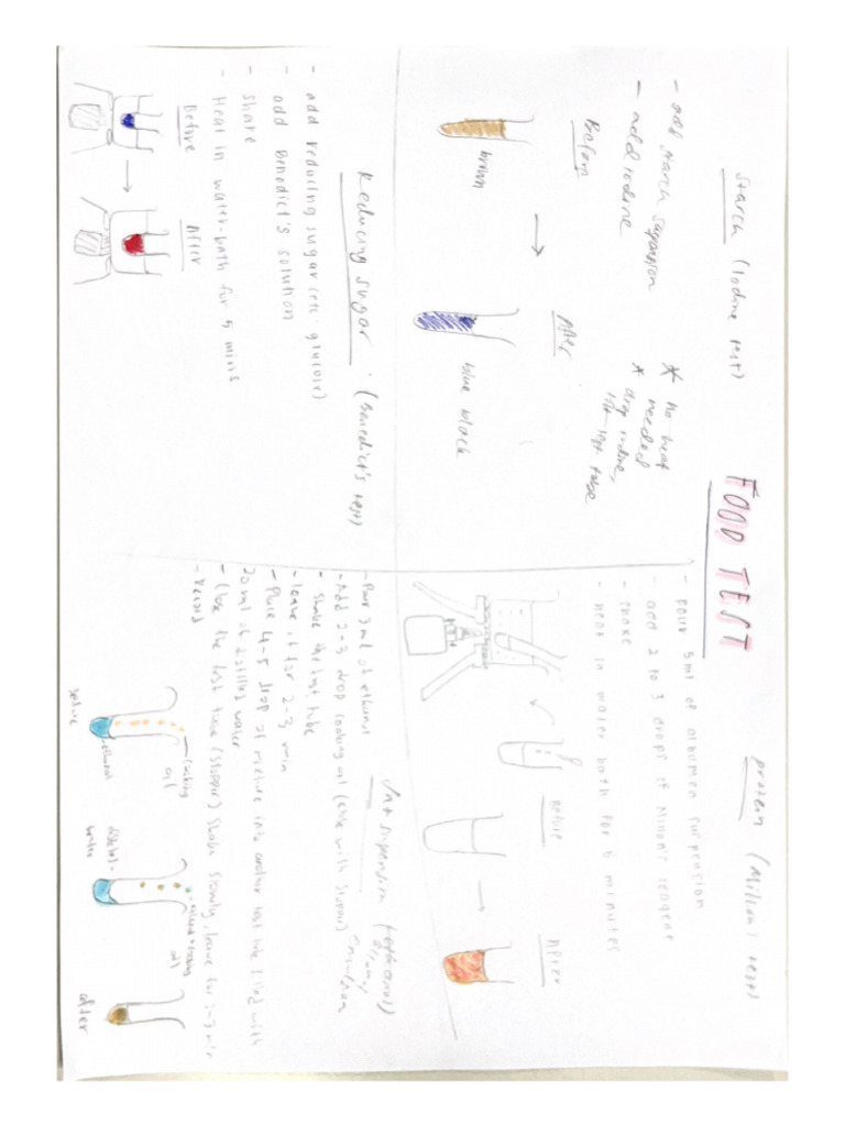 Food Test | PDF