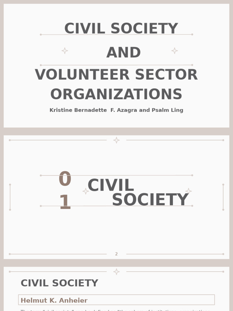 Civil Society and Volunteer Sector Organization Final | PDF | Civil Society | Volunteering