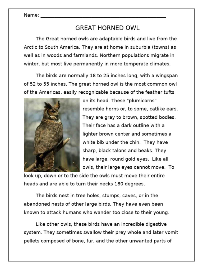 Owl Reading Writing Prompt | PDF | Owl | Eagle