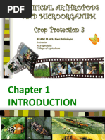 12 Field Guide - Philippine Beach Forest Species | PDF | Plants | Botany