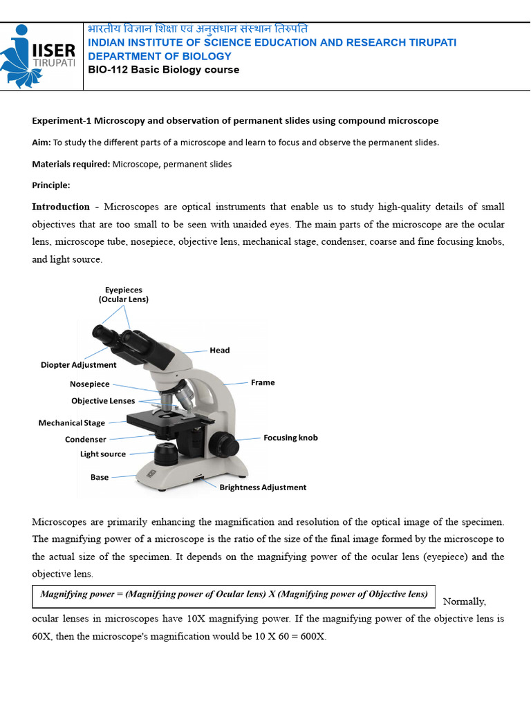 Microscopy Basics: Focus & Observation | PDF | Angular Resolution ...