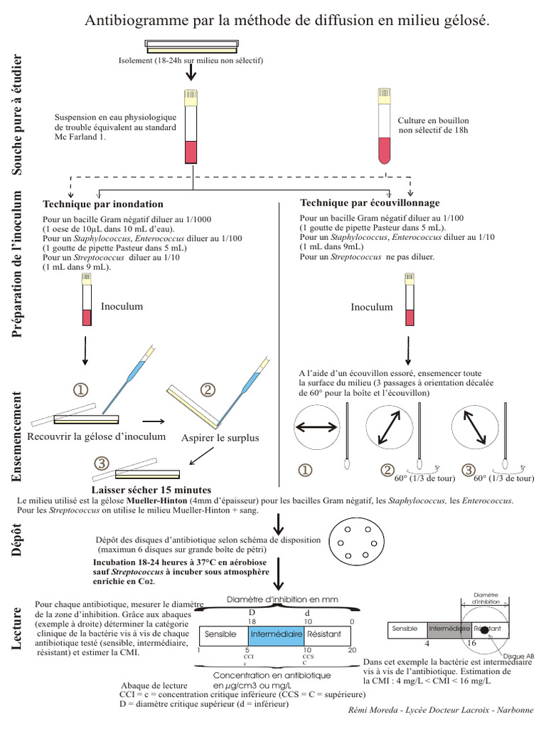 Antibiogramme en Milieu Gelose | PDF | Staphylococcus | Streptocoque