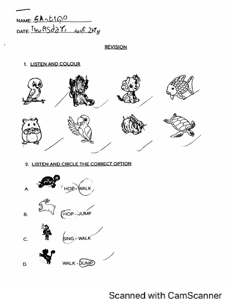 Revision | PDF