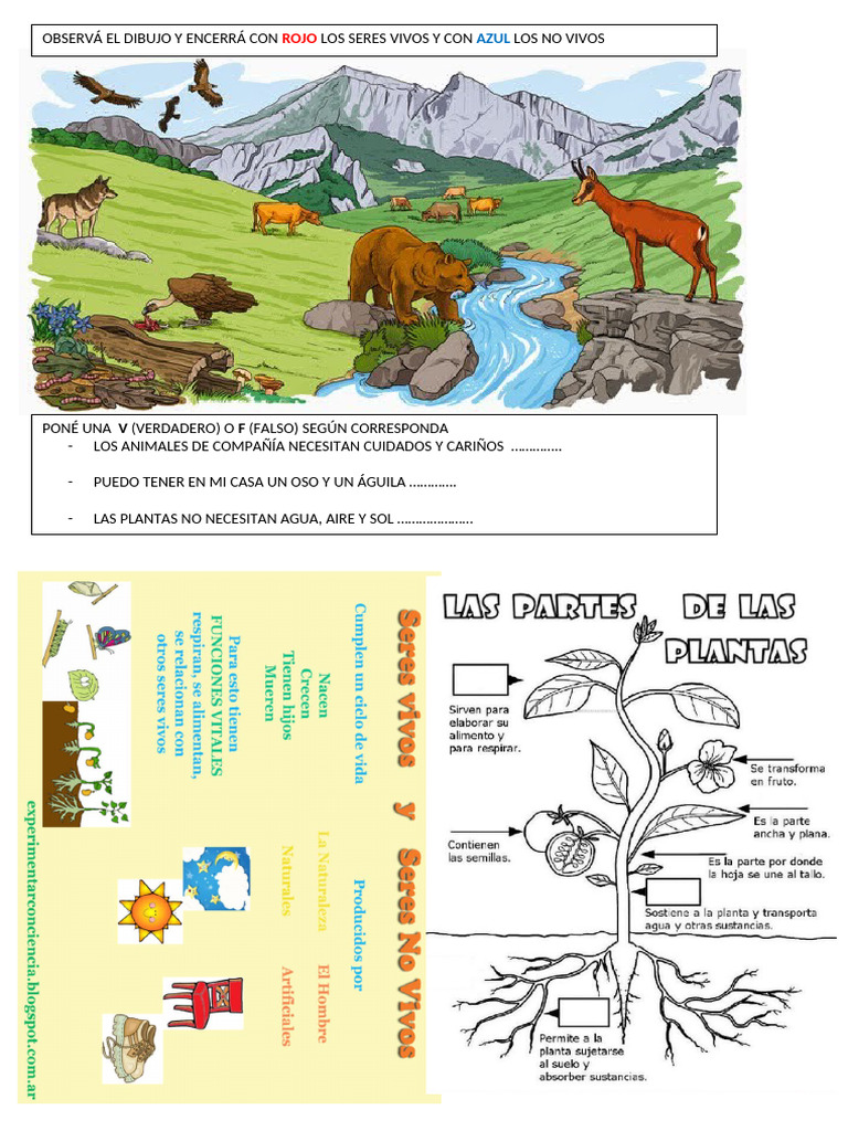 Act Sec 4 | PDF | Hogar, jardinería y bricolaje | Ciencia y matemáticas