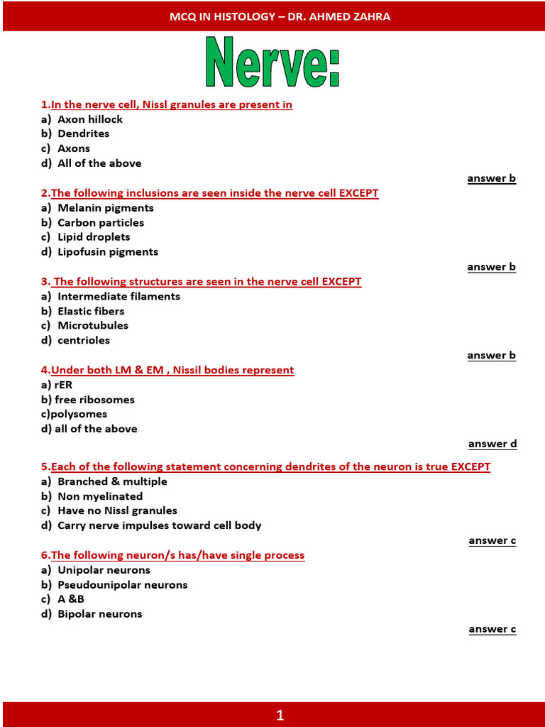 Nervous | PDF | Axon | Nerve