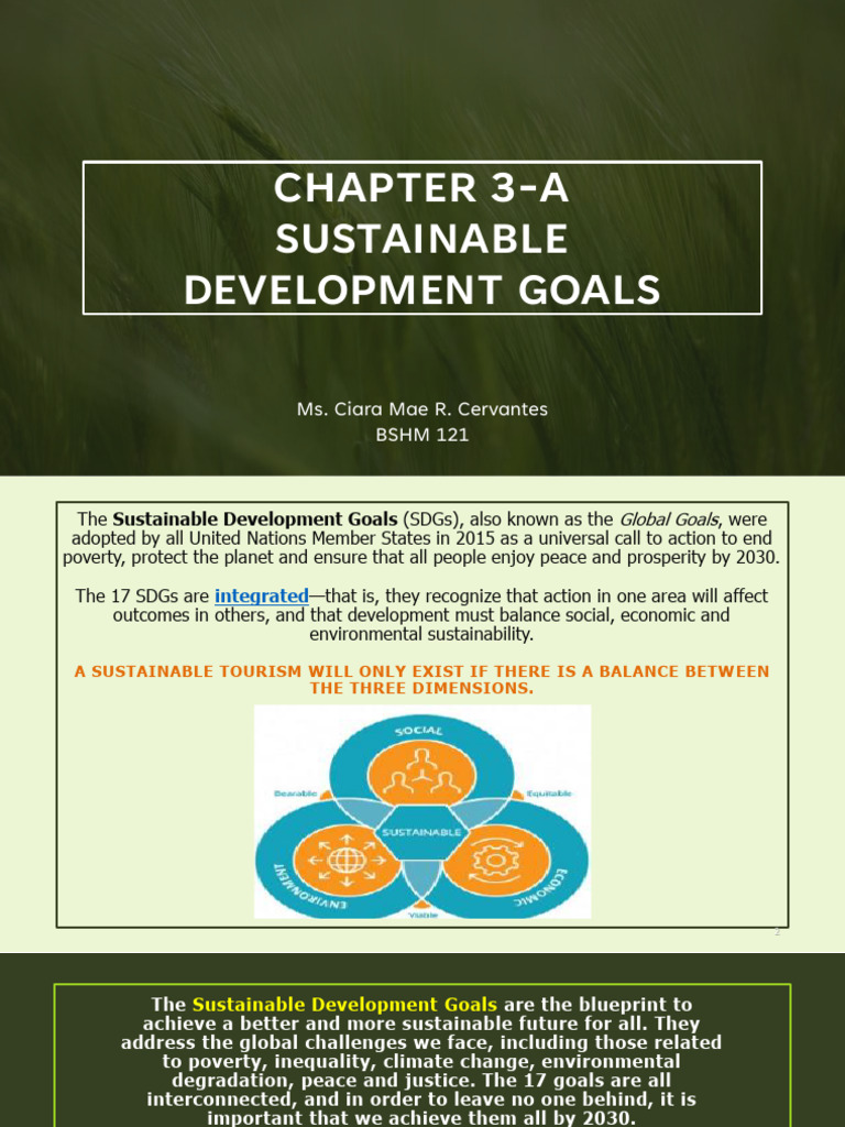 Chapter 3 A | PDF