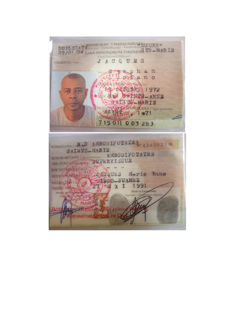 CIN Jacques Stephan STM | PDF