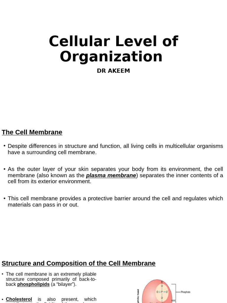 Cellular Level of Organization | PDF | Mitosis | Cell Membrane