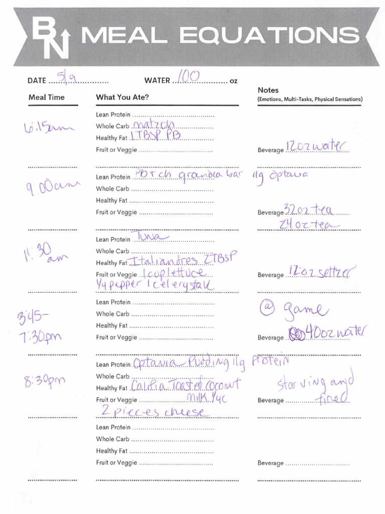 Meal Equations | PDF