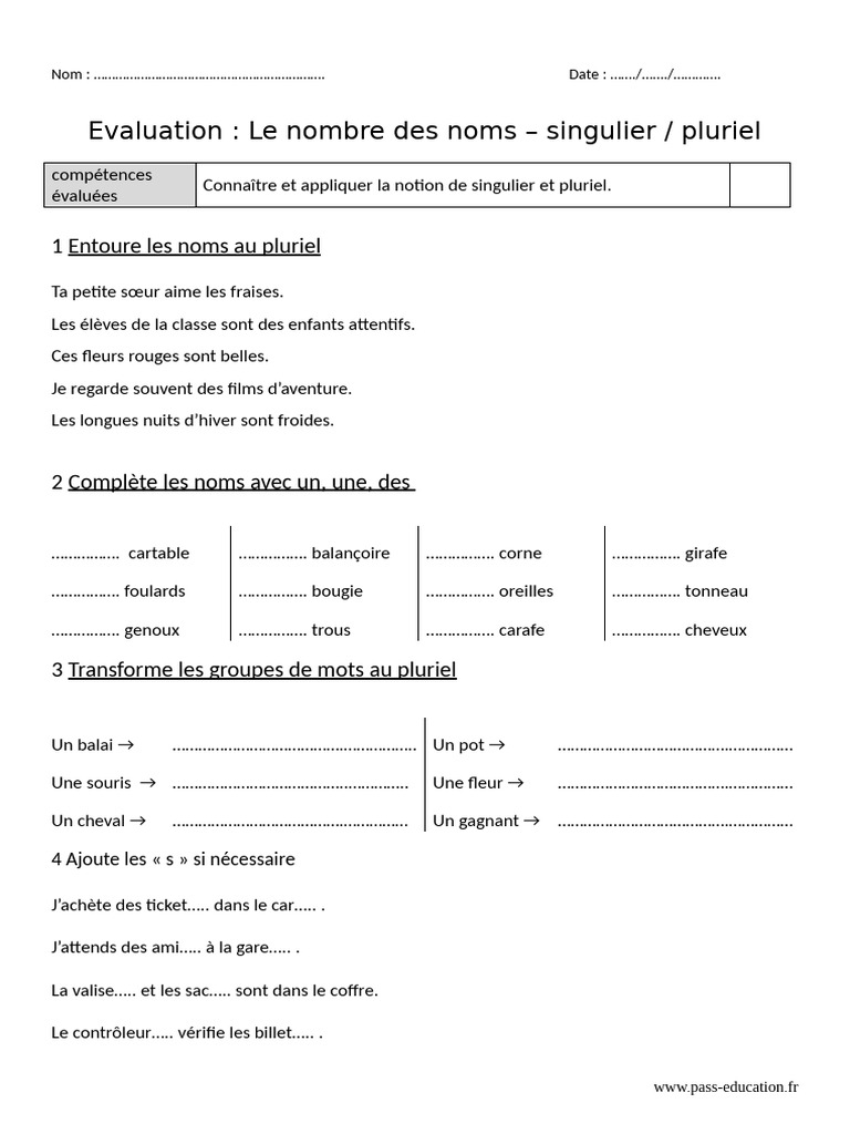 Évaluation CE1 : Singulier et Pluriel | PDF