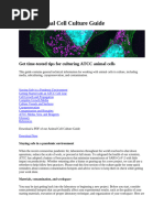 CCL-81 Product Sheet - Vero | PDF | Atcc (Company) | Cell Culture
