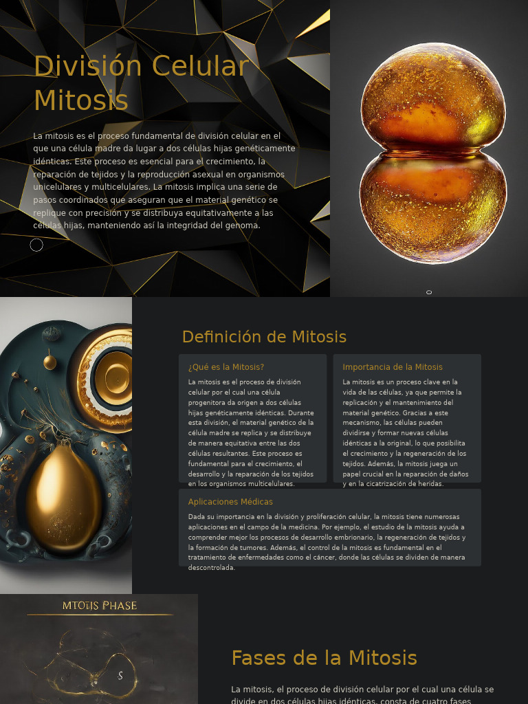 Mitosis: Proceso y Fases de División Celular | PDF | Mitosis | Biología ...