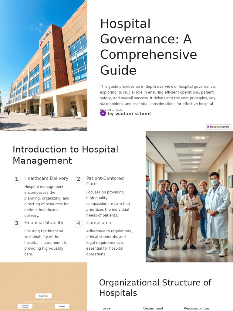 Hospital Governance and Management Guide | PDF | Electronic Health ...