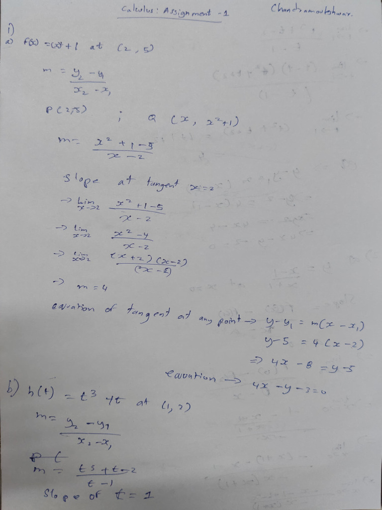 Calculus Assignment Analysis | PDF