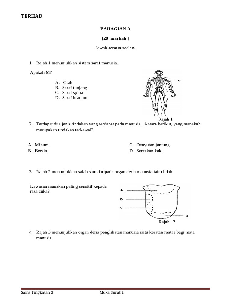 Upsa - Ujian Pertengahan Sesi Akademik TG 3 SMKSM 2024 | PDF
