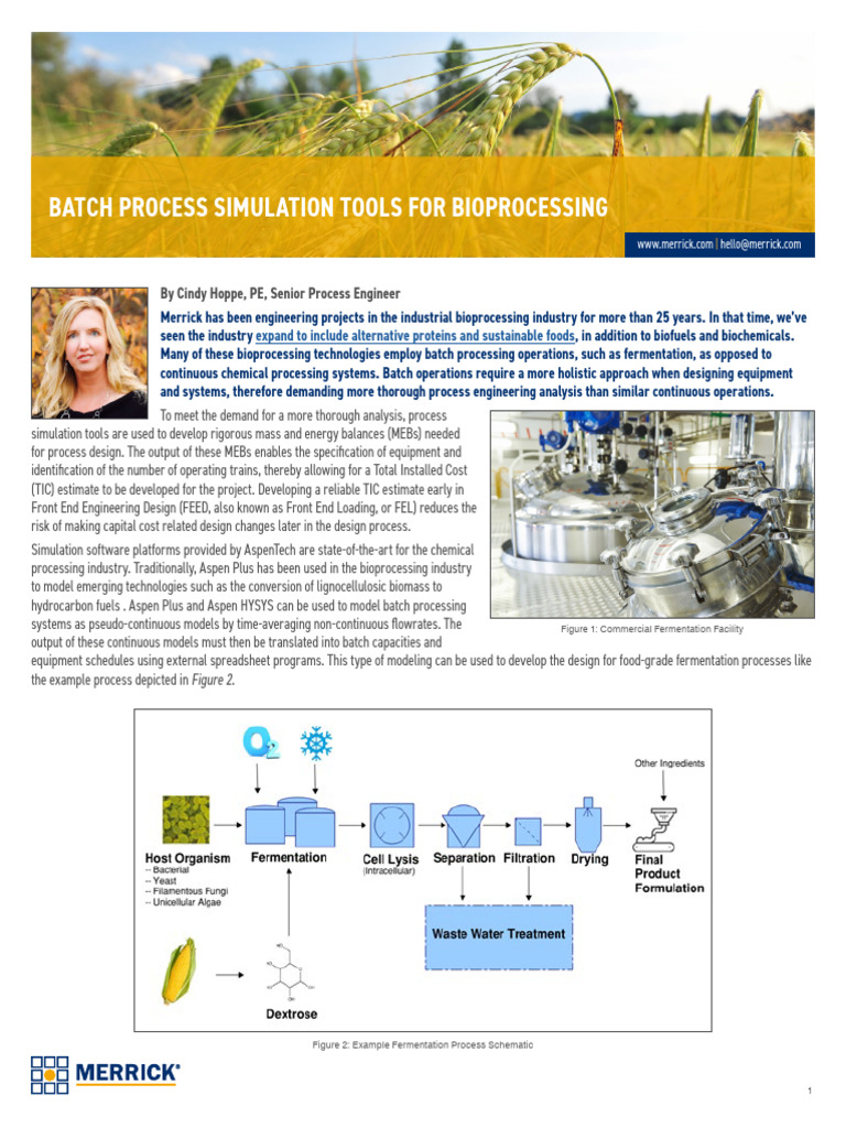 Batch Process Simulation Tools For Bioprocessing | PDF | Simulation | Fermentation