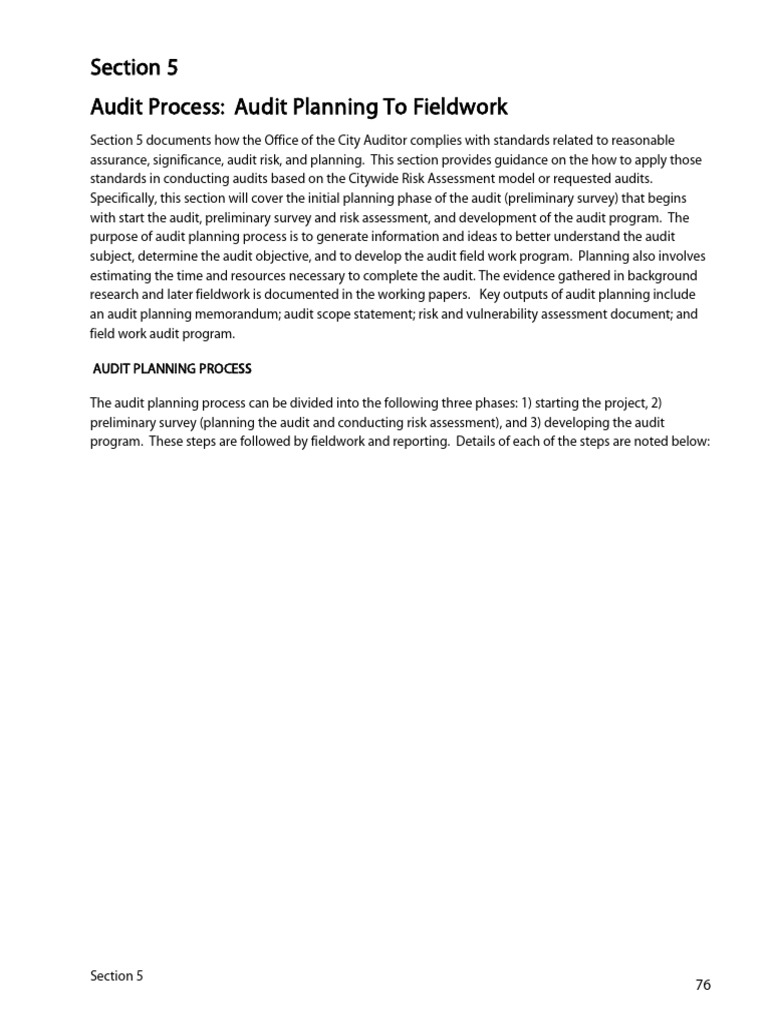 Auditmanual s5 | PDF | Audit | Internal Control