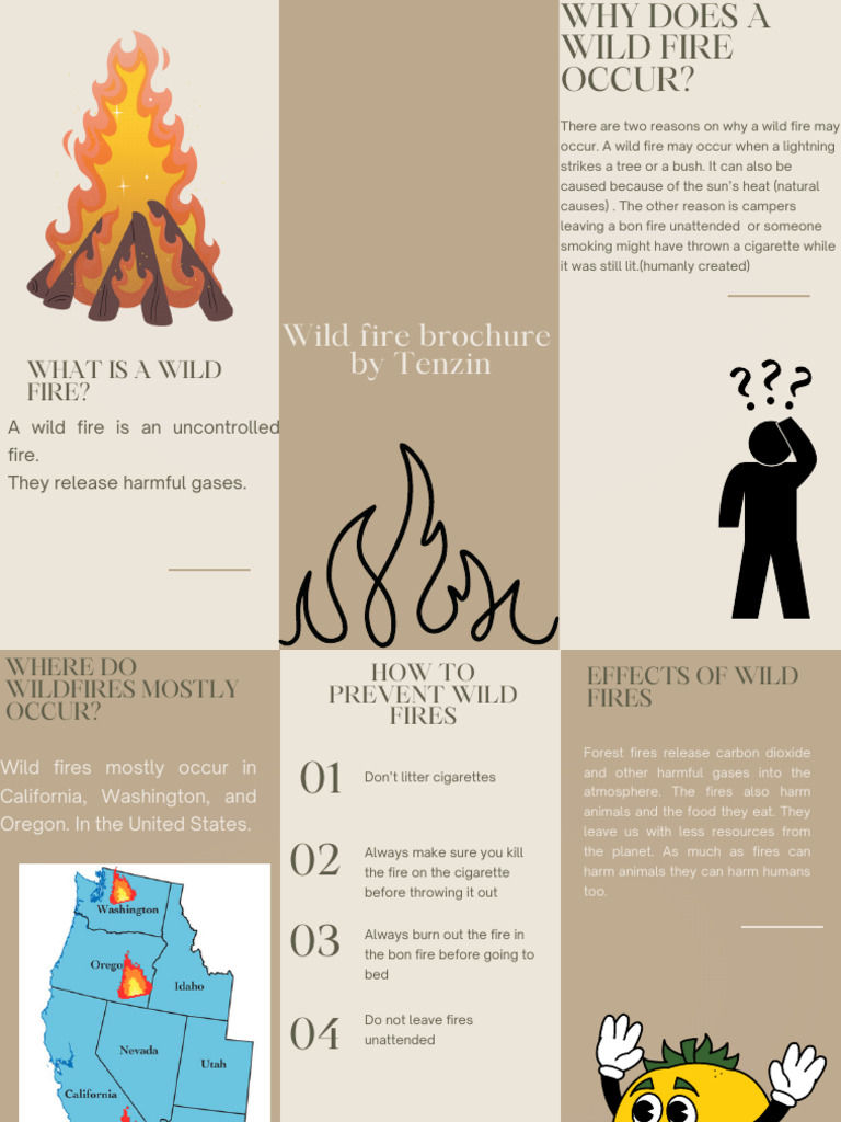 Wild Fire Brochure by Tenzin | PDF | Wildfire | Fires