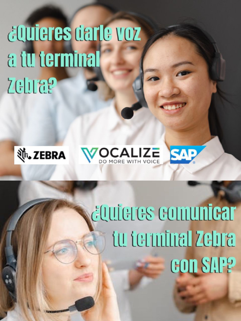 Voice Picking With Vocalize Using Zebra With SAP | PDF
