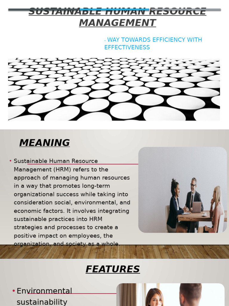 SUSTAINABLE HUMAN RESOURCE MANAGEMENT | PDF