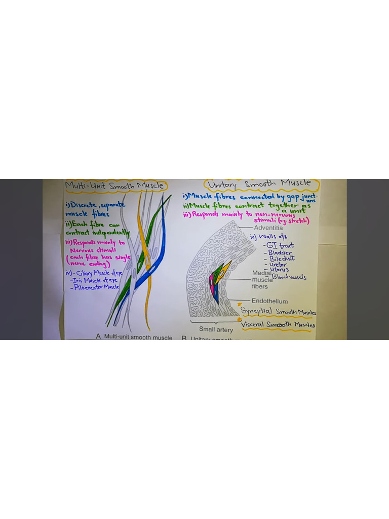 Unit 2 Last Chap | PDF