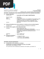 Xs-Pt-904210-12-P3-Horolith V (116898e) | PDF