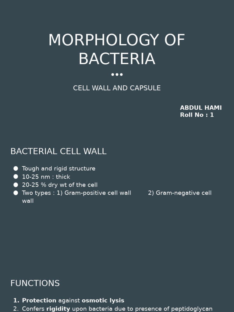 Bacterial Cell Wall and Capsule Structure | PDF | Lipopolysaccharide ...