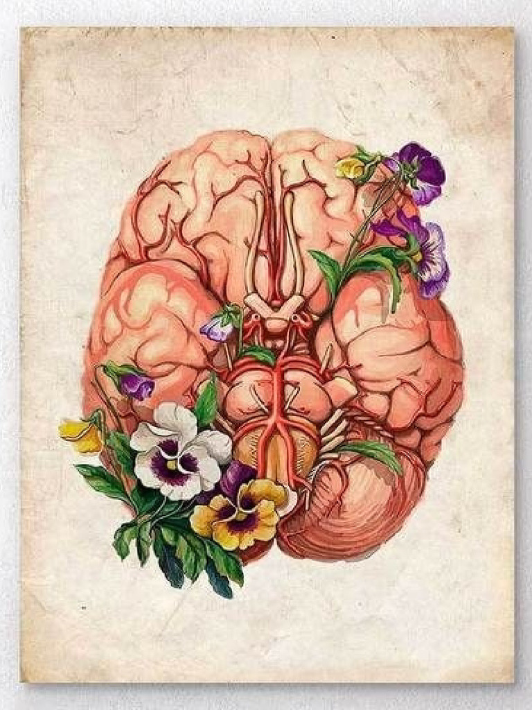 ACV | PDF