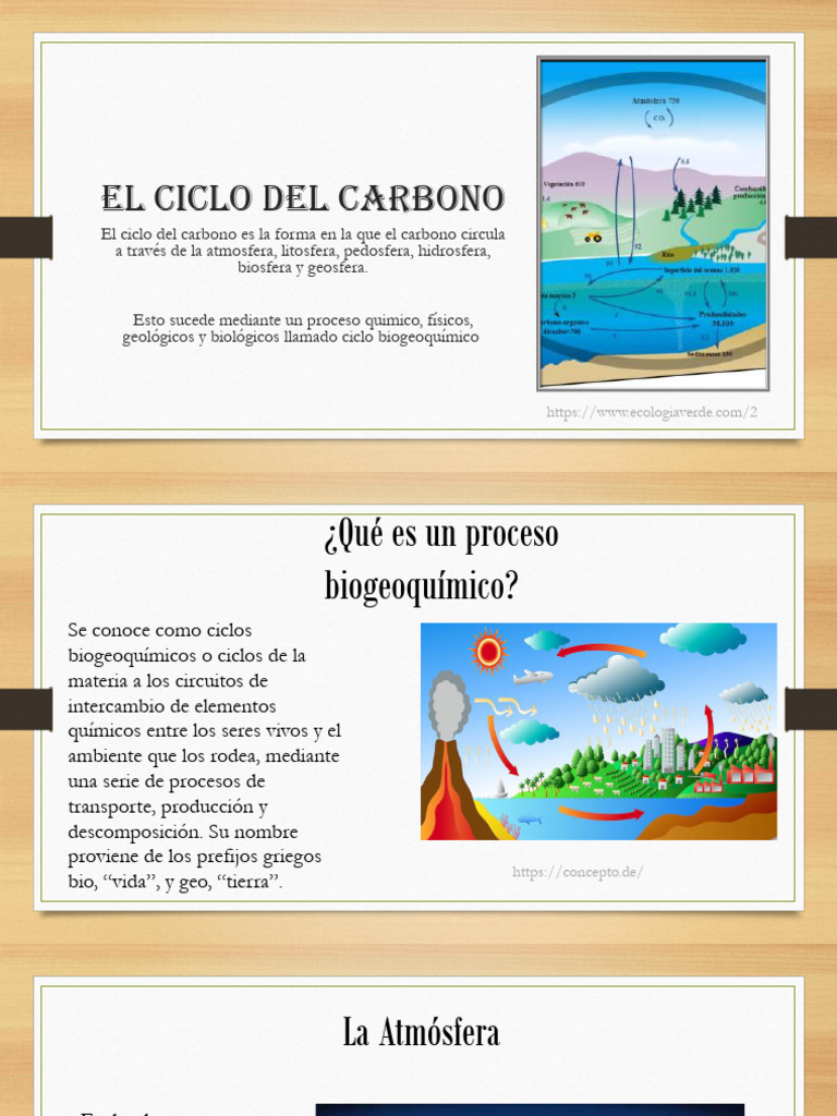 Presentacion de Biologia Ashly Sanchez y Sharon Batista | PDF | Ciclo del carbono | Suelo